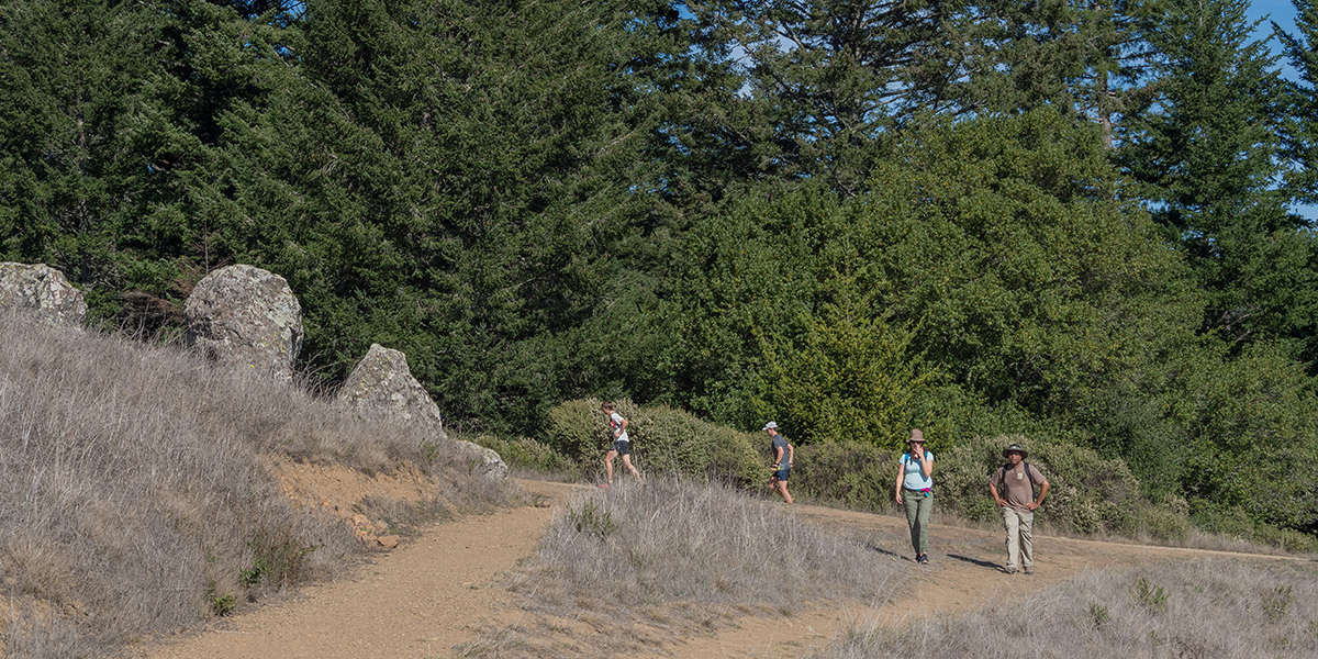 Trail Etiquette 101: Ensure Our Parks’ Paths Are Safe and Fun for All ...