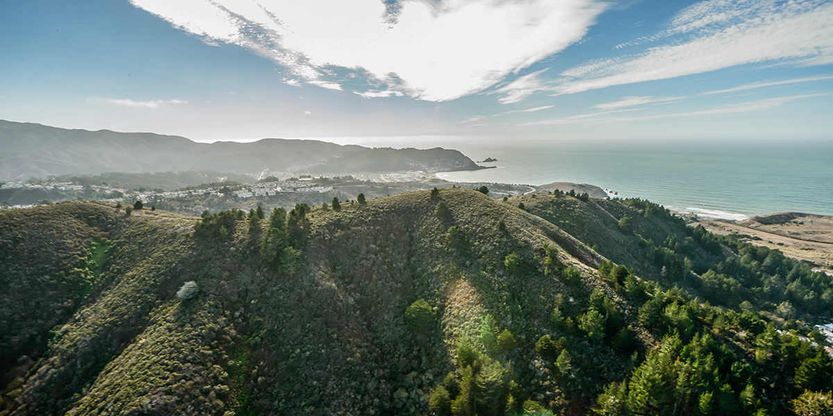 Sweeney Ridge Trail | Golden Gate National Parks Conservancy