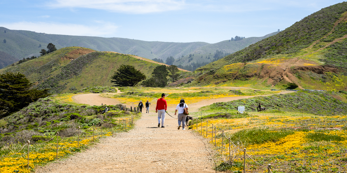 Mori Point Peak Loop | Golden Gate National Parks Conservancy