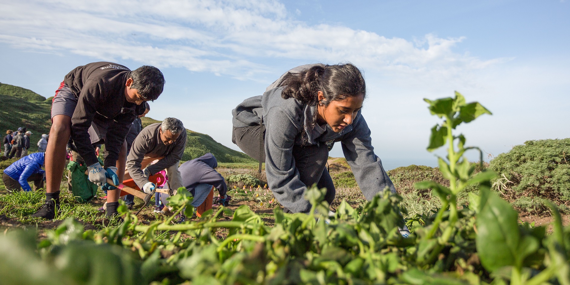 Habitat Restoration Team | Golden Gate National Parks Conservancy