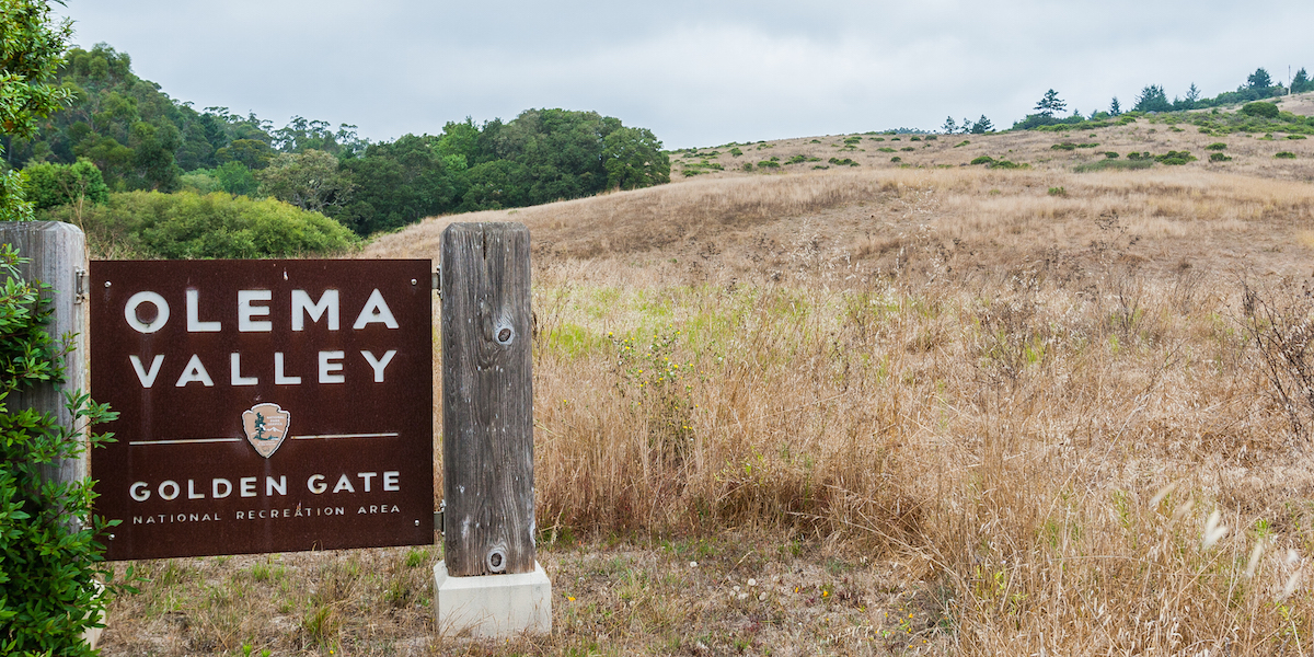 Olema Valley | Golden Gate National Parks Conservancy