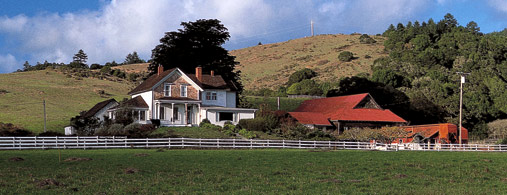 Martinelli Ranch | Golden Gate National Parks Conservancy