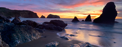 SFからも近いマリンカウンティのRodeo Beach | PaneraのHappy California Life♪