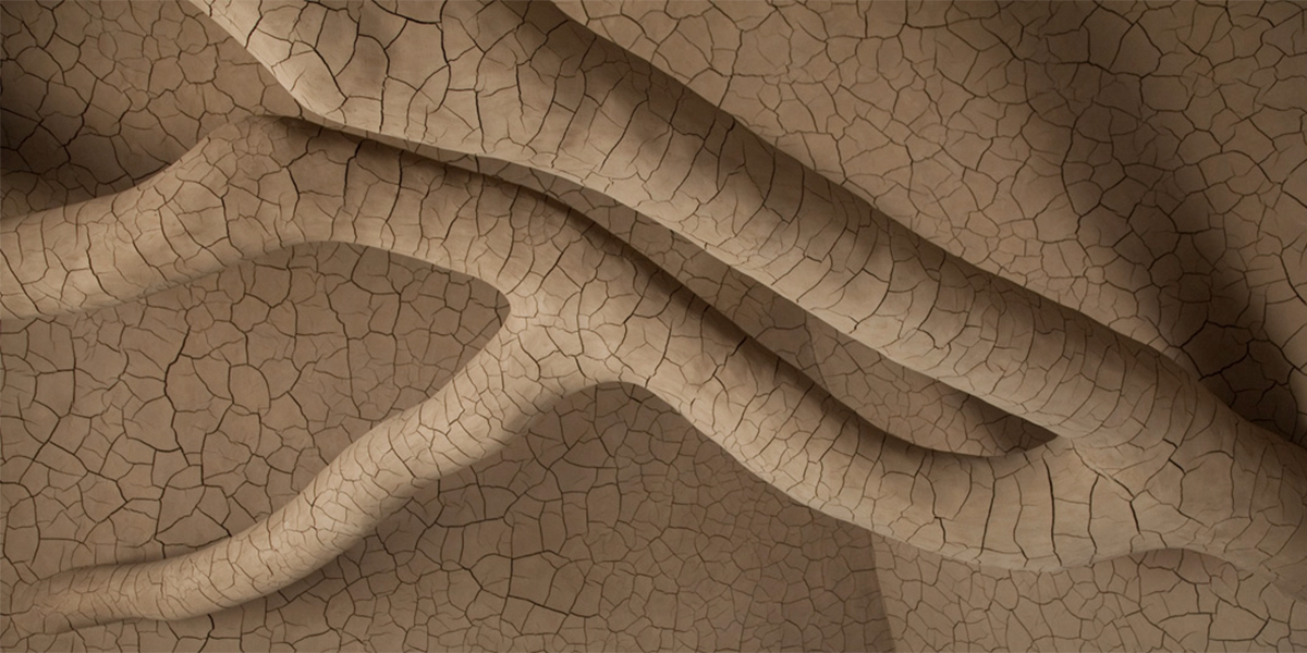 Andy Goldsworthy, Tree Fall | Golden Gate National Parks Conservancy