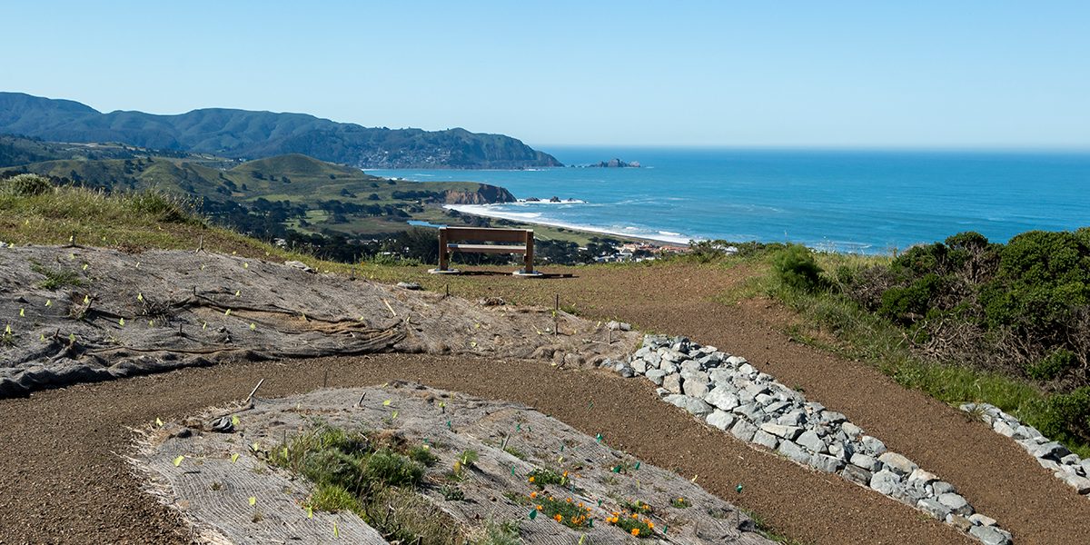 Milagra Ridge | Golden Gate National Parks Conservancy
