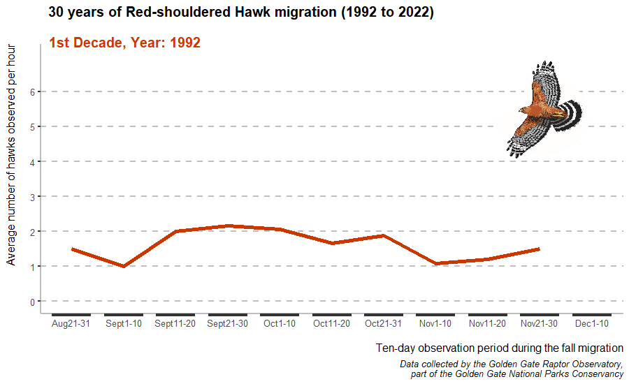 30 Years of Red-shouldered Hawk Migration | Golden Gate National Parks ...