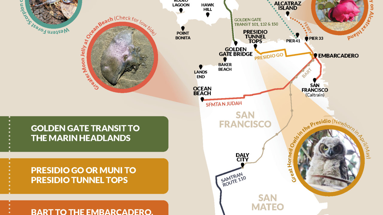 Transit to Trails: How to take public transportation to GGNRA parks ...