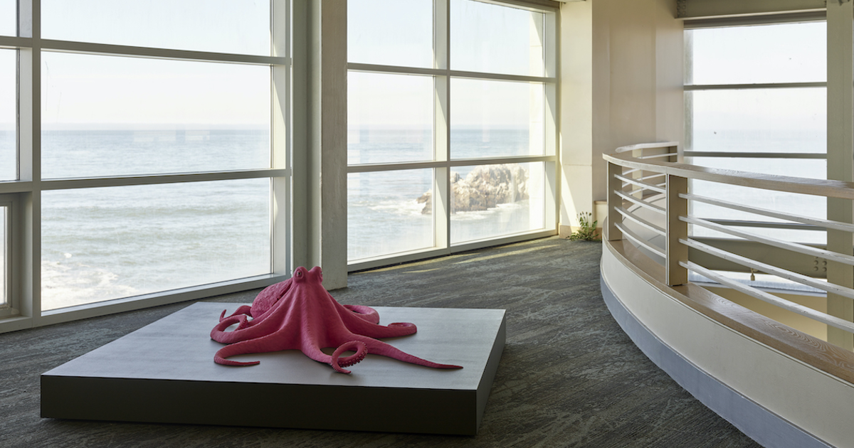 "Lands End" exhibit and more on display now | Golden Gate National ...
