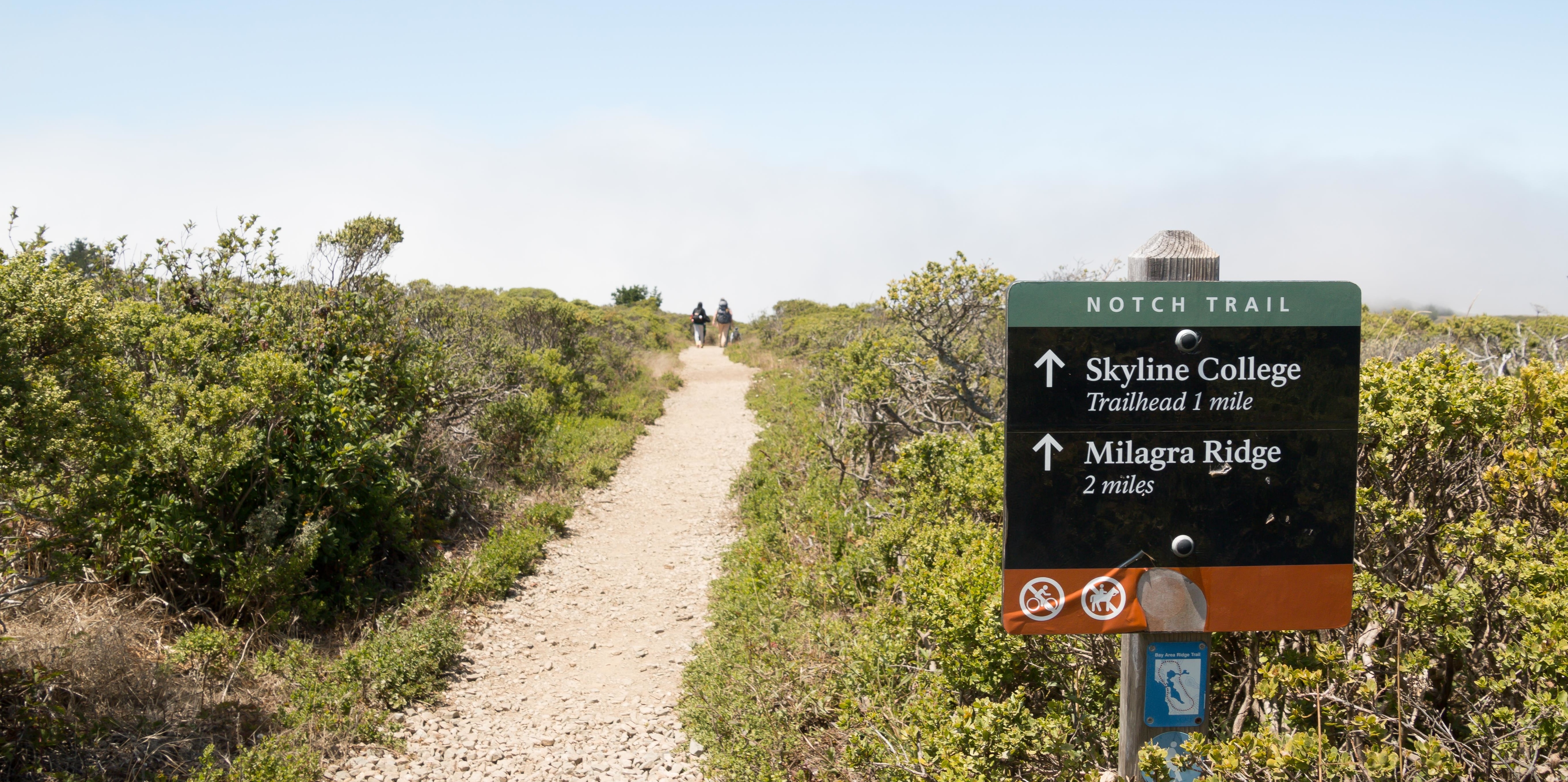 Notch Trail | Golden Gate National Parks Conservancy