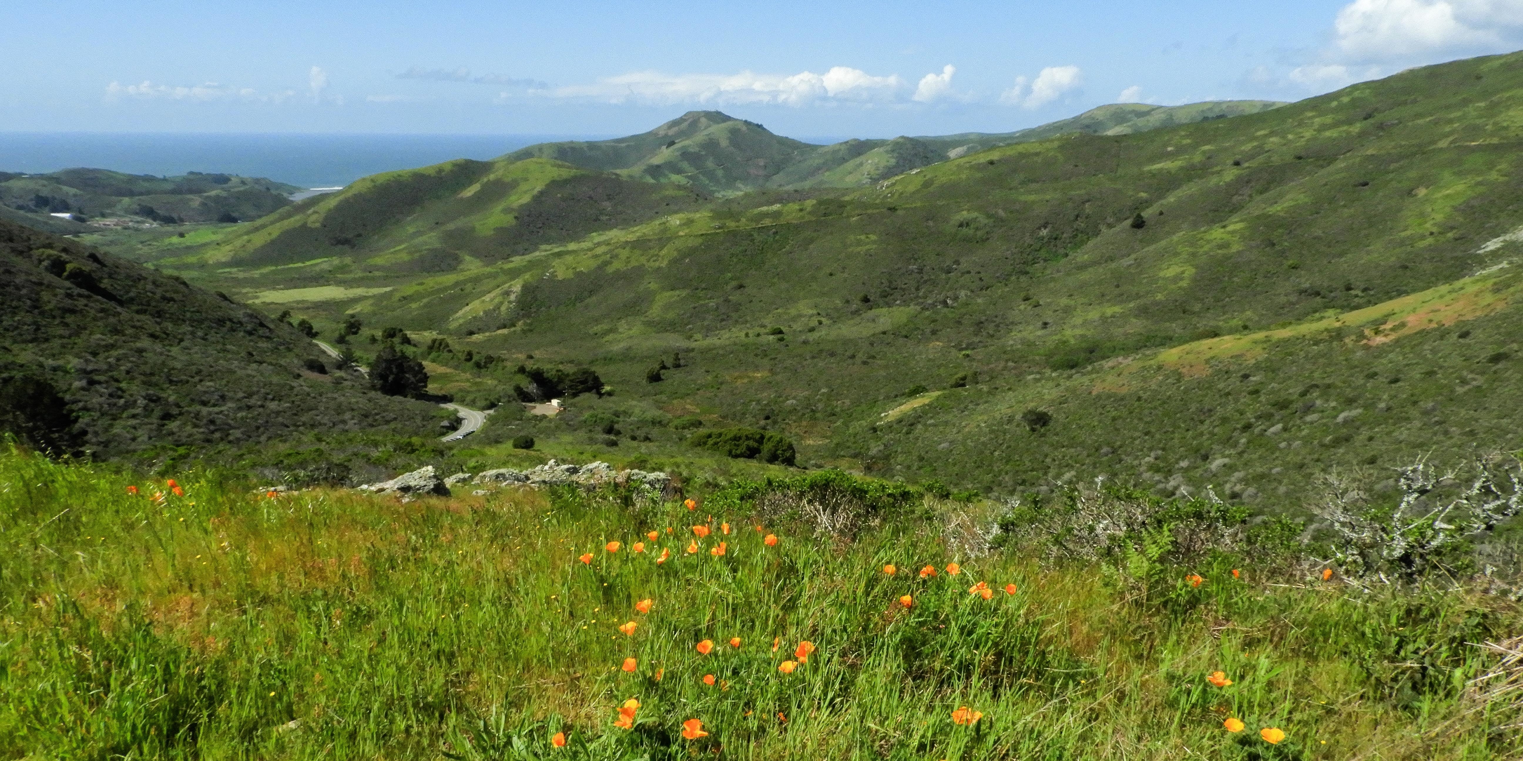 Upper Rodeo Trail | Golden Gate National Parks Conservancy