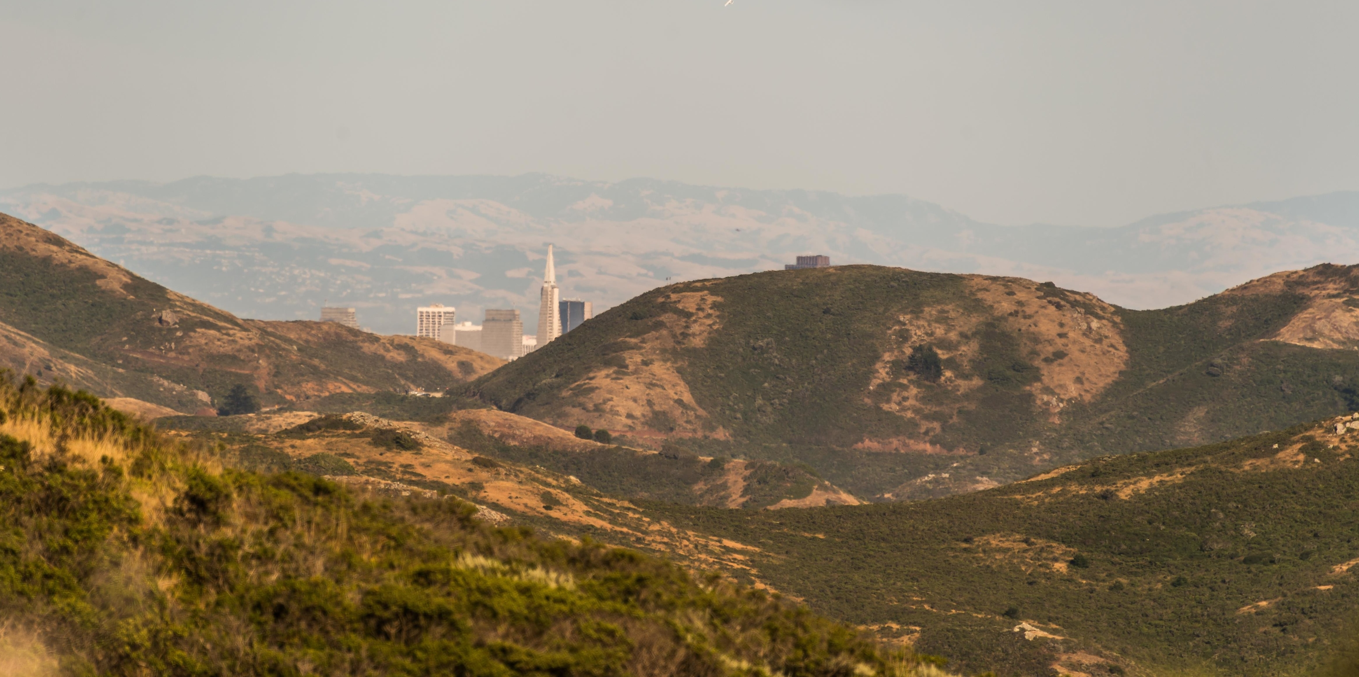 Coyote Ridge Trail | Golden Gate National Parks Conservancy
